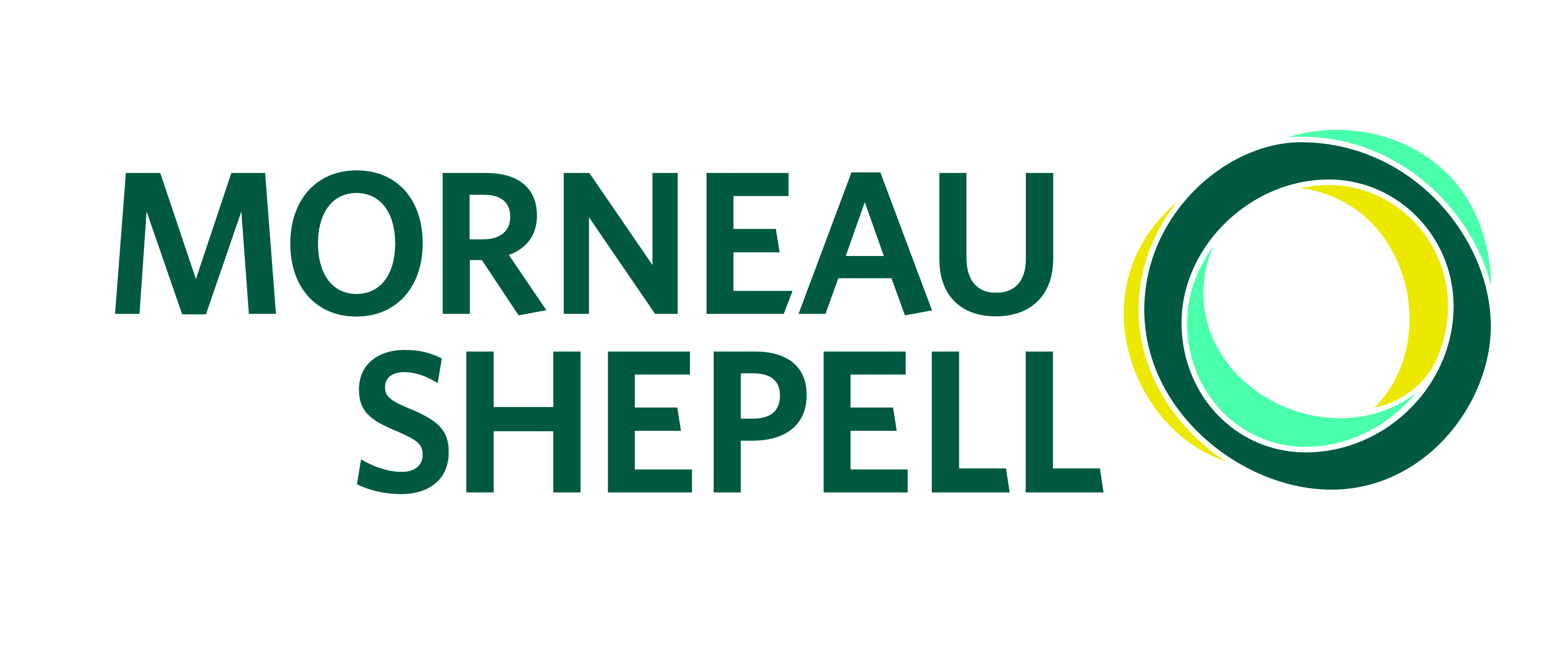 Morneau_Shepell_logo_LRG_CMYK – Association québecoise de la quincaillerie et des matériaux de ...